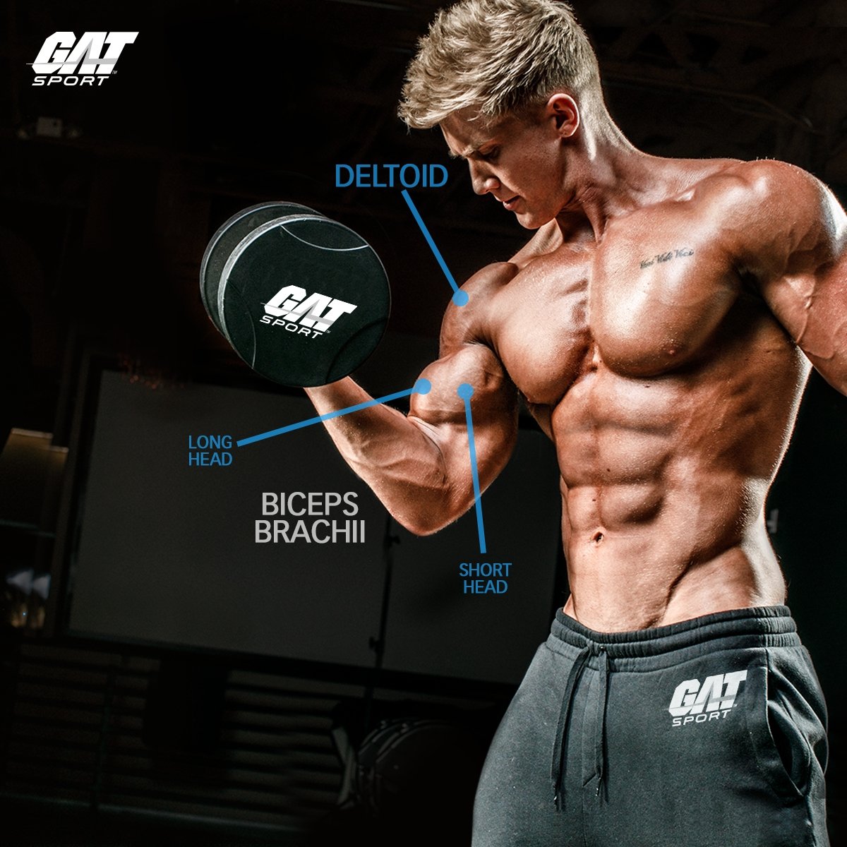 How to get Bigger Biceps - Training Tips with GAT Athlete, Zac Aynsley ...